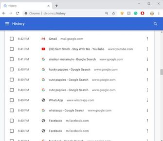 Can Parents See Your Search History? (Answered!)