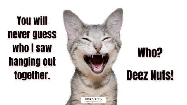 Top 100 Funniest Deez Nuts Joke Ideas | HugATeen.Com
