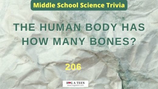 300+ Fun Middle School Trivia Questions (With Answers!)