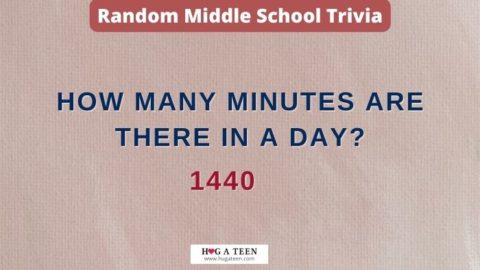 300+ Fun Middle School Trivia Questions (With Answers!)