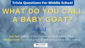 300+ Fun Middle School Trivia Questions (With Answers!)