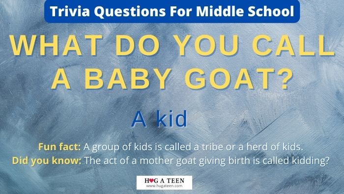 300 Fun Middle School Trivia Questions With Answers 2022 300 Fun Middle School Trivia Questions With Answers 2022