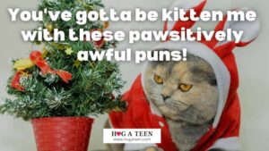 Funny Cat Christmas Puns, Jokes, Quotes, And Photos.