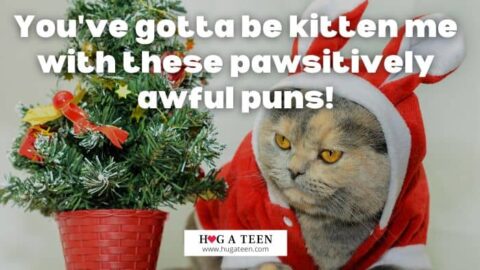 Funny Cat Christmas Puns, Jokes, Quotes, And Photos.