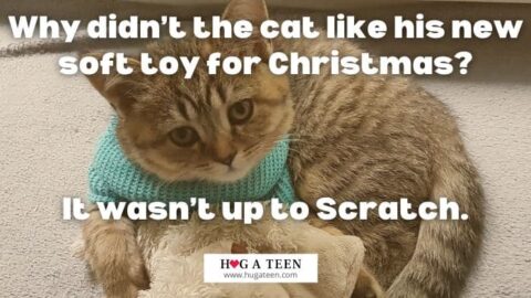 Funny Cat Christmas Puns, Jokes, Quotes, And Photos.