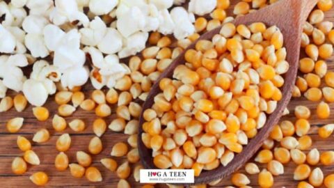 Does Popcorn Expire? Popped, Unpopped, Flavored - Explained