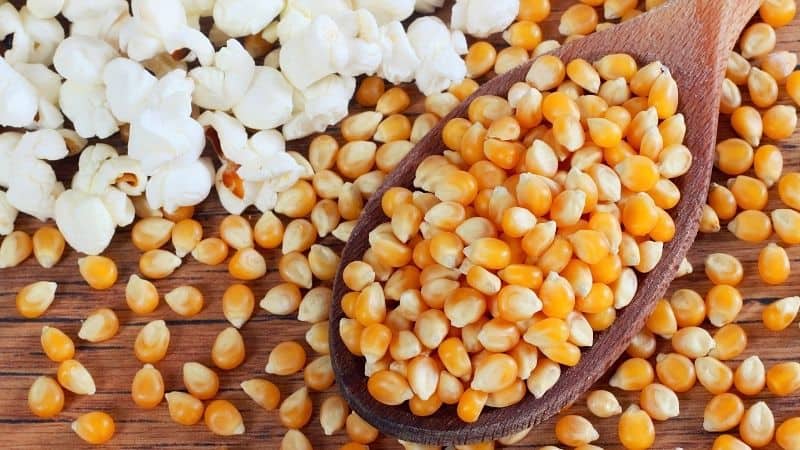 Does Popcorn Expire? Popped, Unpopped, Flavored - Explained